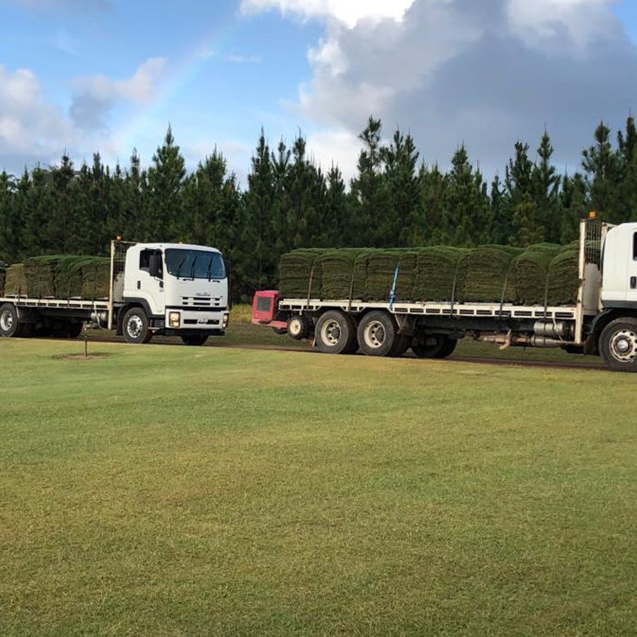AOK Turf | High Quality Turf Delivered